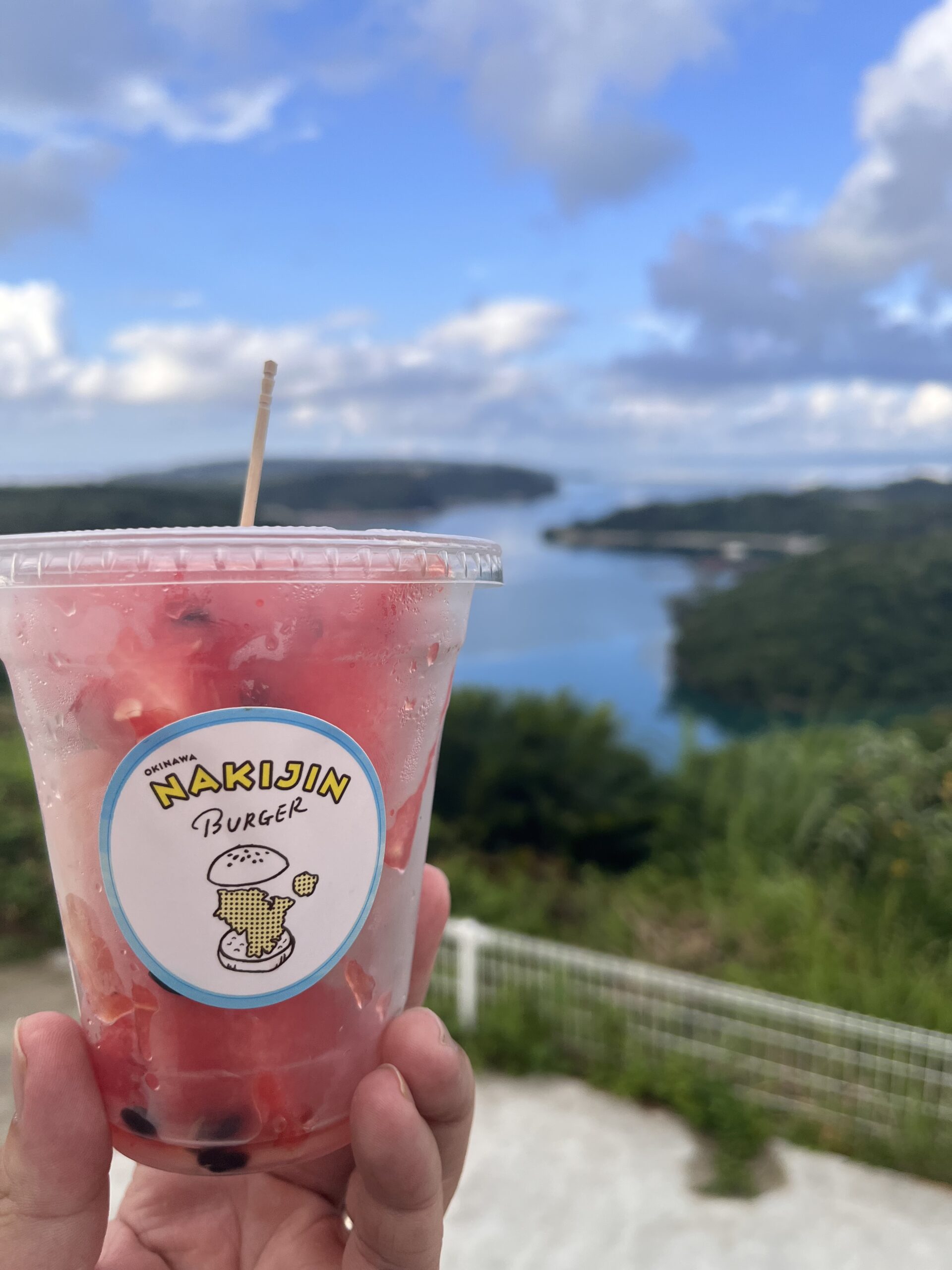 【公式】DRIVE IN リカリカワルミ | 沖縄県北部、今帰仁村-なきじんそん-、美ら海水族館から車で20分
